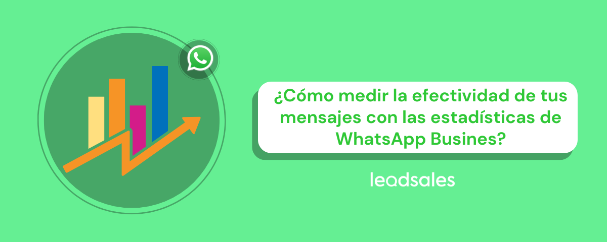 Cómo ver estadísticas de WhatsApp Business: paso a paso